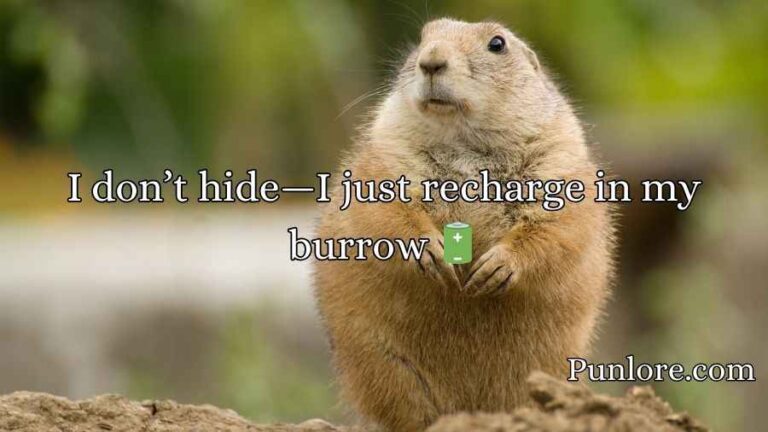 Best 900+ Hilarious Prairie Dog Puns You’ll Love! 🐾 2026